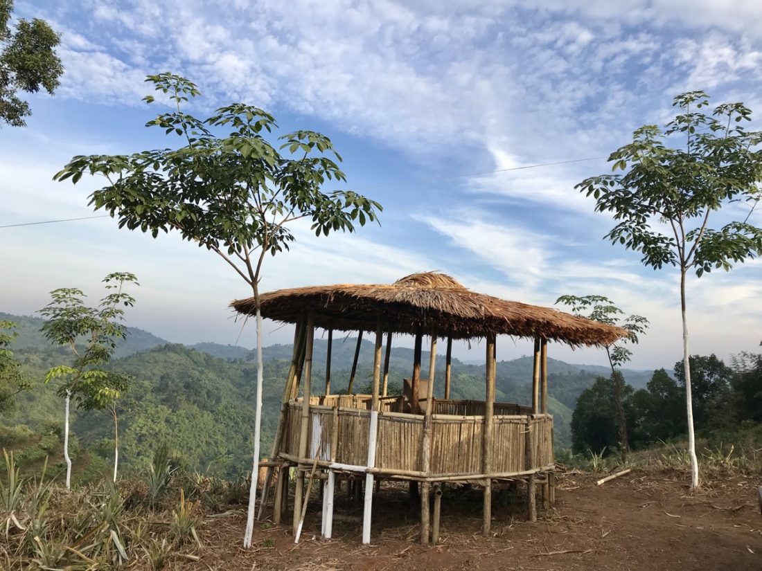 Spring Valley Farm India | Gallery