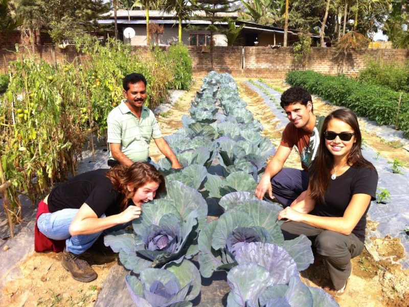 Spring Valley Farm India | Gallery