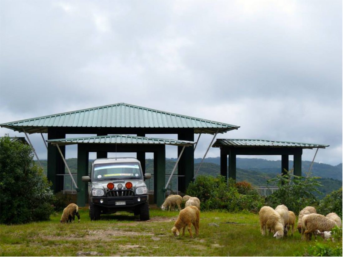 Spring Valley Farm India | Gallery
